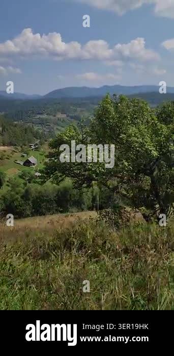 beautiful landscape of the carpathian mountain Stock Video Footage - Alamy