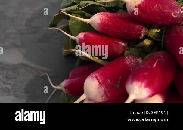 Radish close-up cinematic view. Macro shot of radish . Radish in slow ...