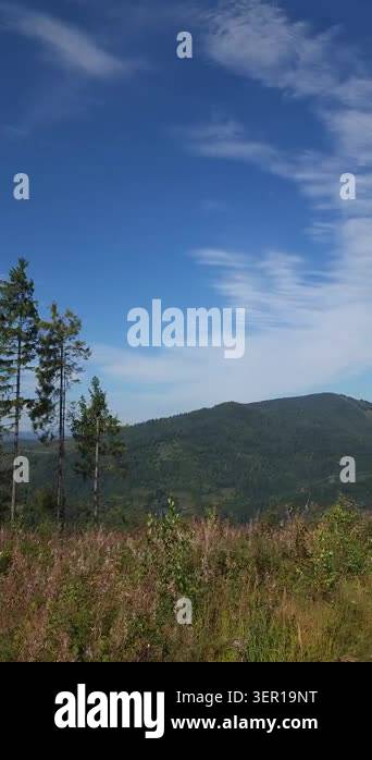 beautiful mountain scenery with a lot of forests, carpathian mountains ...