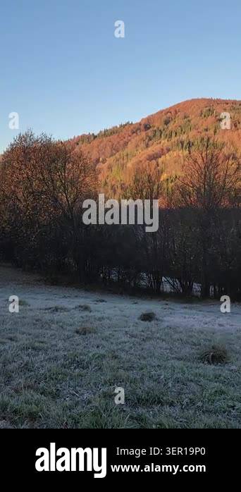 winter landscape with trees and snow Stock Video Footage - Alamy