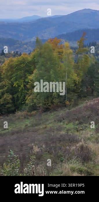 beautiful autumn landscape with colorful trees Stock Video Footage - Alamy