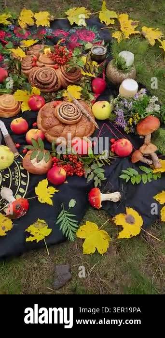 autumn leaves and pumpkins Stock Video Footage - Alamy
