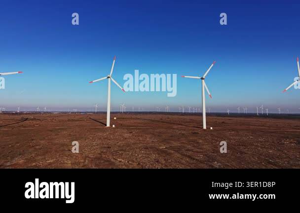 Rows of wind turbines are located on flat land under a clear blue sky ...