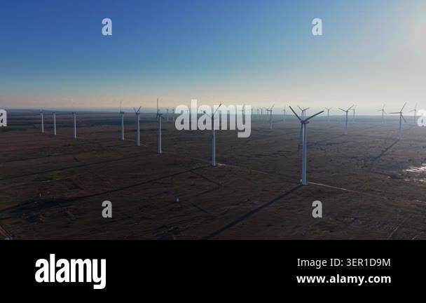 Many wind turbines are seen in a large field under a clear sky. The ...