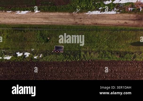 A truck travels slowly down a dirt road beside a green field during ...