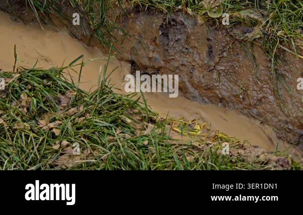 Workers are drilling a hole in the ground to reach water. Mud and grass ...