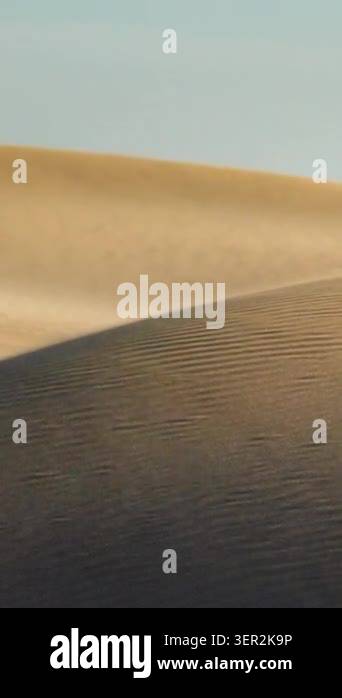 Sand dune ridge with wind carved ripples and smooth desert contours ...