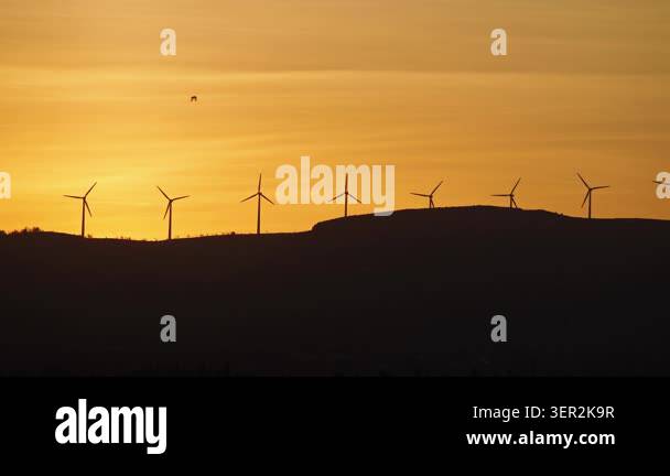 Wind turbines generating renewable energy at sunset with dramatic ...