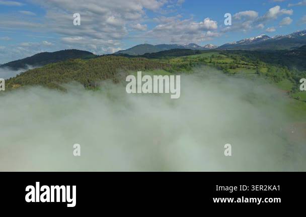 Mountain meadow and forest emerging from morning fog beneath Pyrenees ...