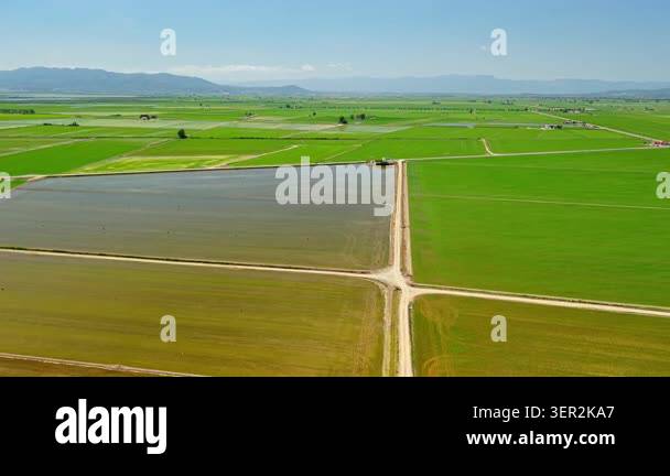 Aerial view of flooded rice paddies and agricultural fields in Ebro ...