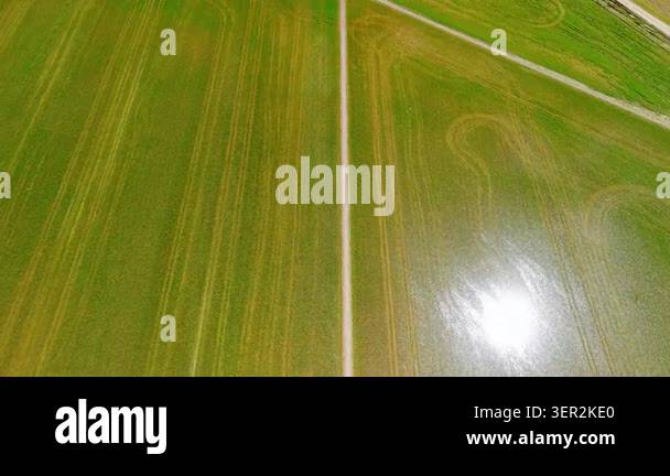 Aerial top down view of flooded rice field with irrigation road and ...
