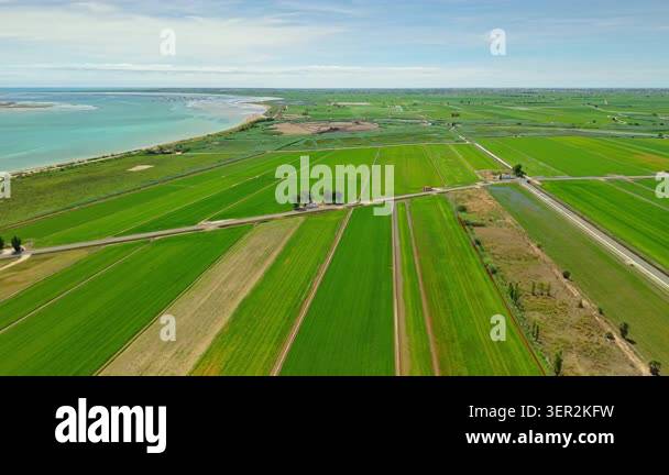 Green rice fields and irrigation canals in Ebro Delta Natural Park ...