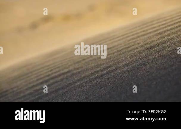 Sand dune surface with fine wind shaped ripples in desert landscape ...