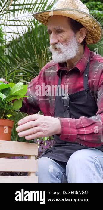 Good-looking serious busy mature male gardener with grey beard sitting ...