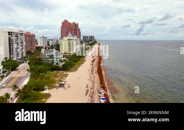 Pelican Grand Beach Resort Fort Lauderdale Beach Florida Stock Video ...