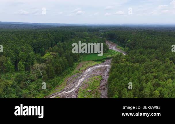 Aerial view of a river cutting through dense forest. Sky with soft ...