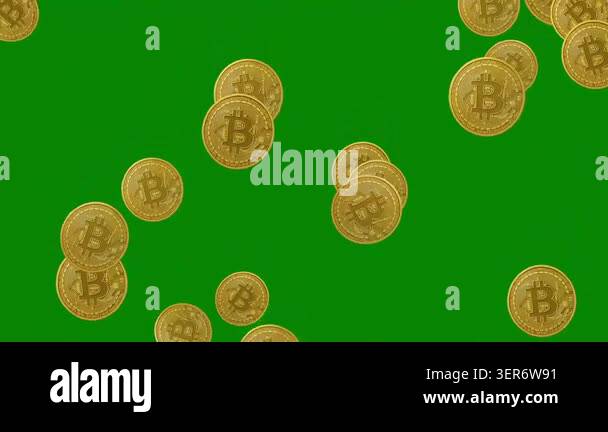 Falling golden bitcoins motion graphics with green screen background ...