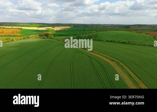 Aerial green wheat fields across productive rural farmland. Commercial ...