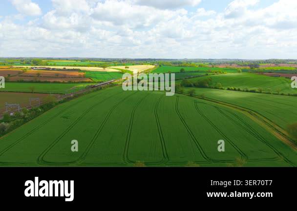 Expansive agricultural fields with growing grain crops and railway ...
