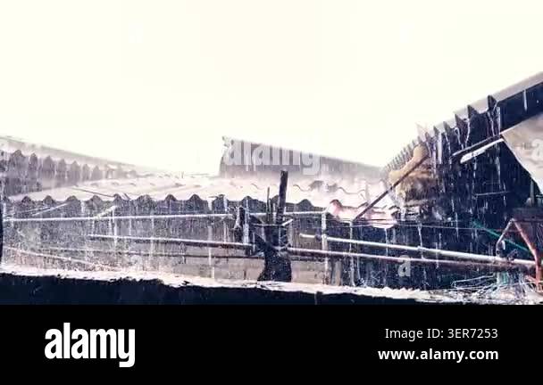 Rain is falling on the slum roof , Chiangmai Thailand Stock Video ...