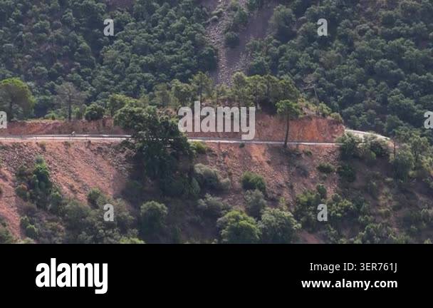 A lone cyclist rides a misty mountain road through a green forest ...