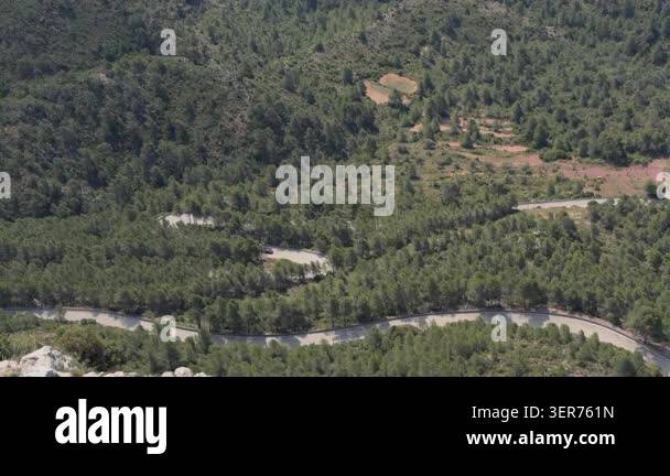 Aerial view of a winding asphalt road through dense conifers, rocky ...