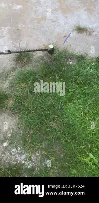 Close-up of a person using a grass trimmer to cut overgrown lawn in a ...