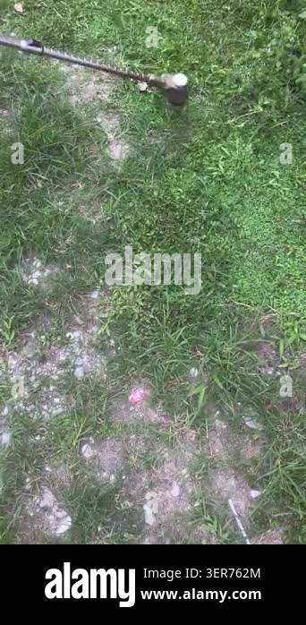 Close-up of a person using a grass trimmer to cut overgrown lawn in a ...