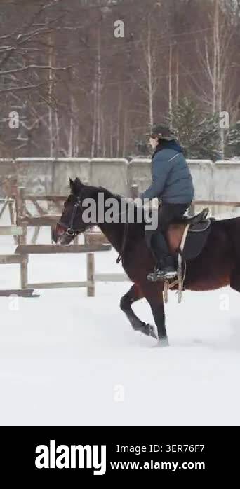 Racehorce with woman rider running on snow ring, telephoto shot Stock ...