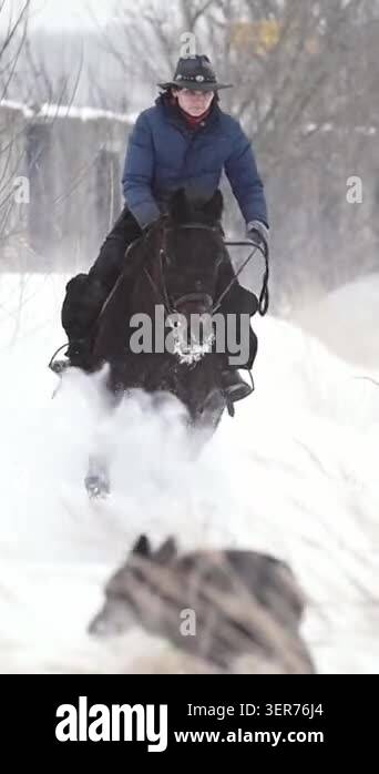 Equestrian sport - rider woman on fast horse galloping in snowy field ...