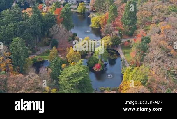 Aerial drone footage of a park in autumn with colorful trees and a pond ...