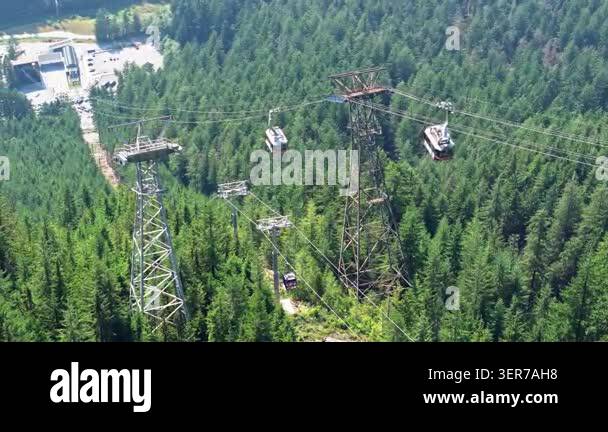 Aerial view of gondolas moving through a dense forest with tall ...
