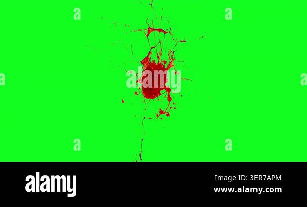 Realistic blood spray and droplets splashing on a chroma key green ...