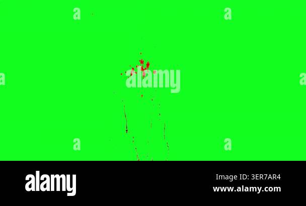 Realistic blood spray and droplets descending from above on a chroma ...