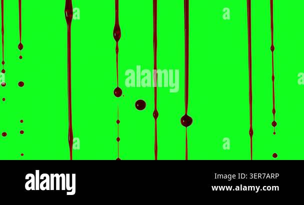Realistic blood drips slowly flowing from the top of a chroma key green ...