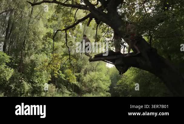 Guy jumping in the river from a DIY wooden platform on an old tree ...