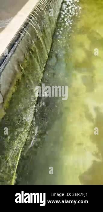 Mossy green water flows steadily over a stone ledge into a bubbling ...