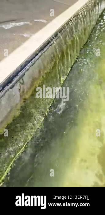 Green algae-filled water cascades over a smooth concrete ledge into a ...