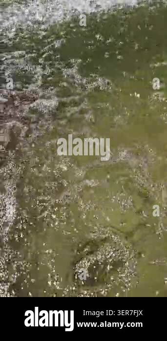 Rapidly flowing green water bubbles and churns along the turbulent ...