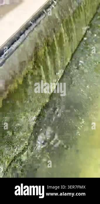 Water flows steadily over a mossy stone edge into a rippling pool ...