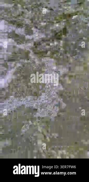 A close-up view of stream water actively bubbling over green algae in a ...