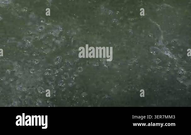 Bubbling green water surface moving slowly Stock Video Footage - Alamy