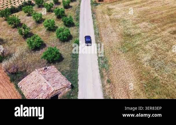 Aerial drone view of car driving along country road between orchards ...