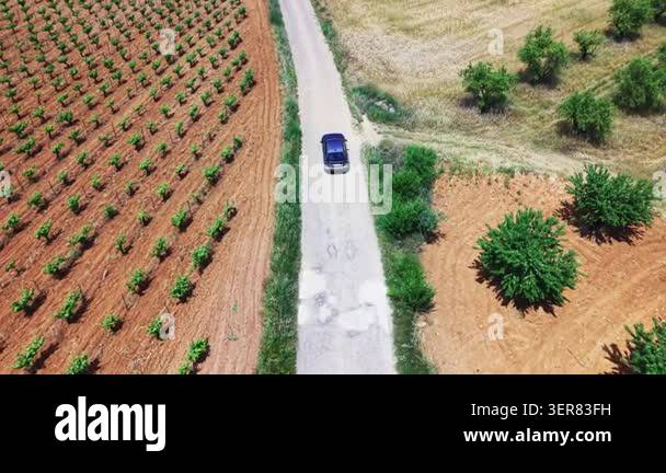 Aerial view of vehicle driving through wheat fields orchards and rural ...