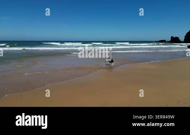 Aerial shot of a young woman in a flowing black dress running barefoot ...