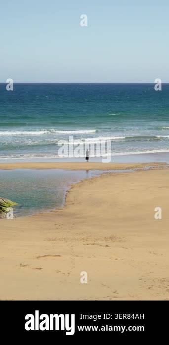 A woman in a long black dress stands on a sandy beach looking at the ...