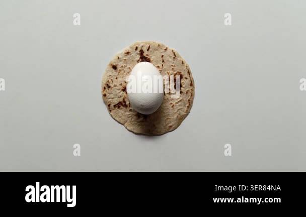Studio shot of a single fresh white farm egg resting directly on a ...