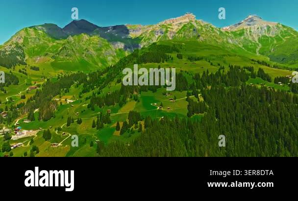 Establishing shot of Switzerland. Aerial view of the green meadows of ...