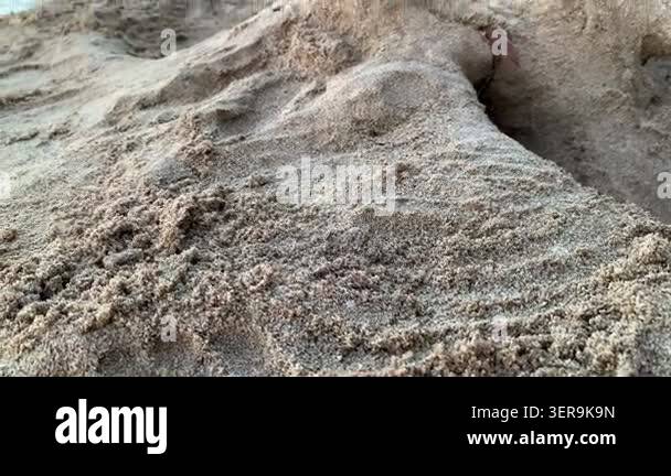 4K close-up of a coconut partially buried in sand at Tanjung Lesung ...