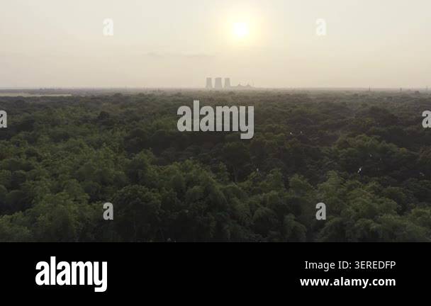 Aerial Sunset Over Dense Green Forest Near Rooppur Area, Bangladesh ...